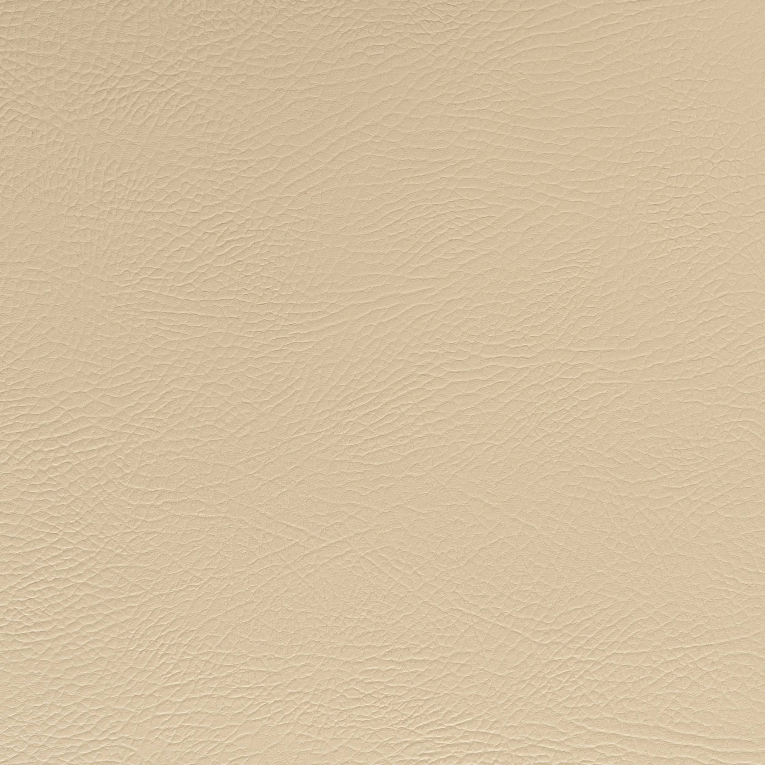 Nuvant Global - Berlin