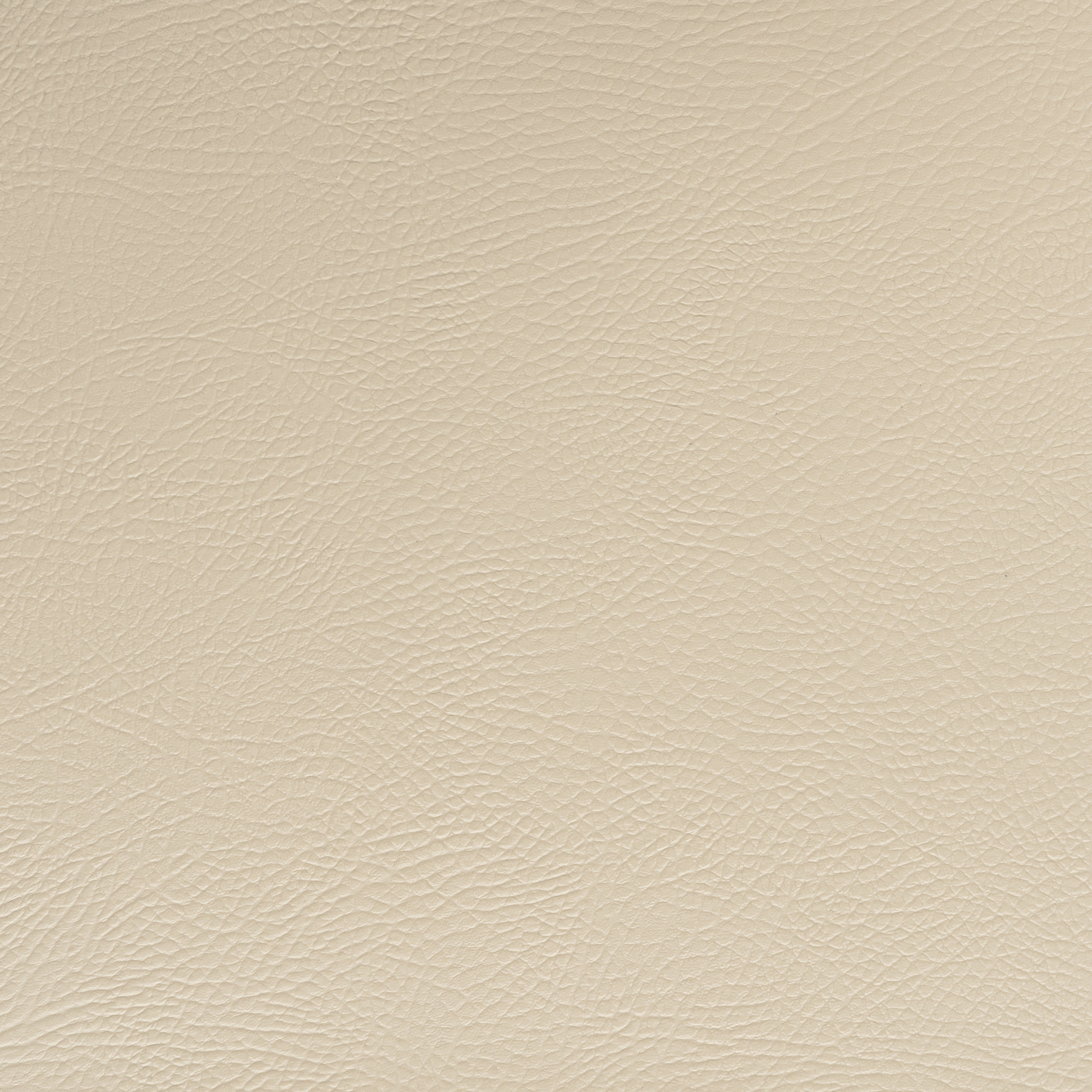 Nuvant Global - Berlin